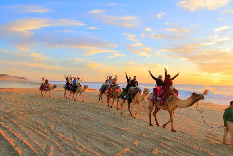 Cabo San Lucas: Camel Ride on the Beach - Transportation: Simple and Stress-Free