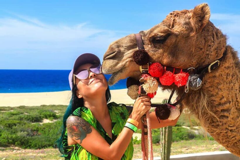 Cabo San Lucas: Camel Ride on the Beach - Food and Tasting: A Flavorful Pause