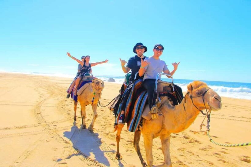 Cabo San Lucas: Camel Ride on the Beach - Additional Perks and Amenities