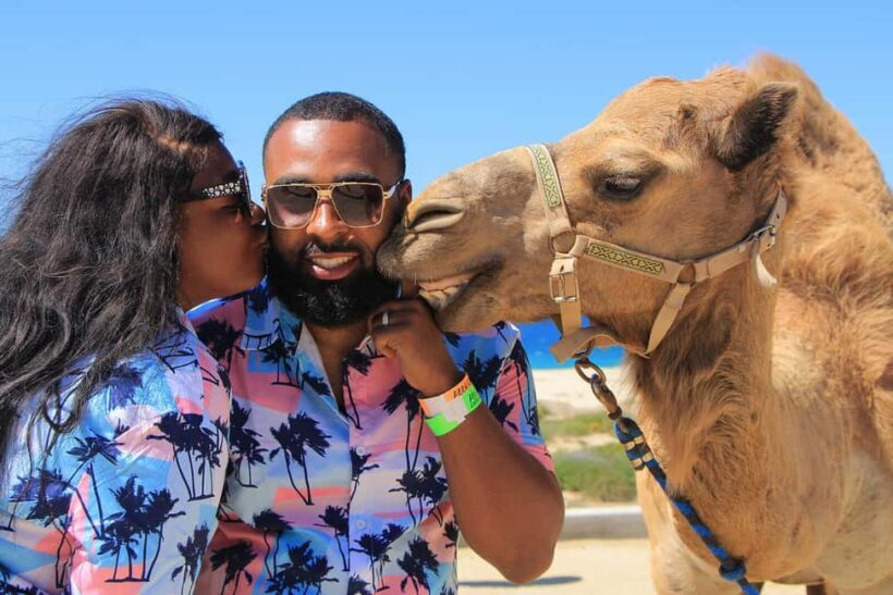 Cabo San Lucas: Camel Ride on the Beach - Who Will Enjoy This Tour?