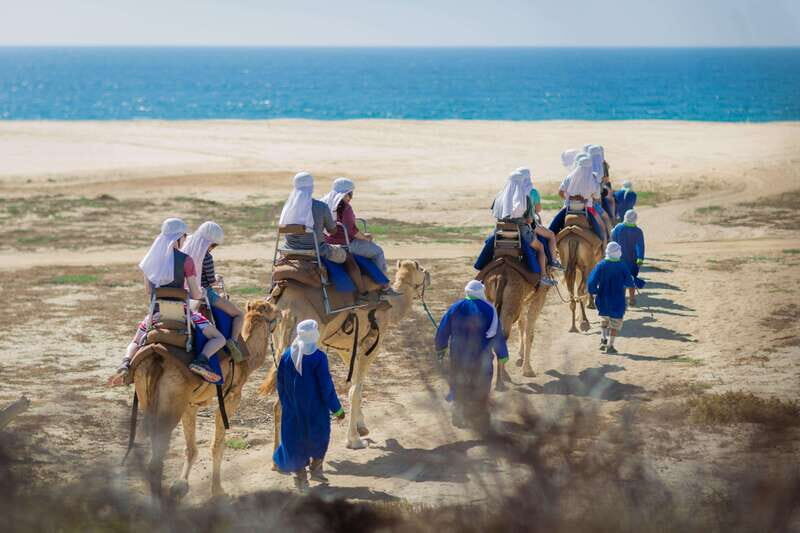 Cabo San Lucas: Camel Safari Tour with Lunch and Tequila - Key Points
