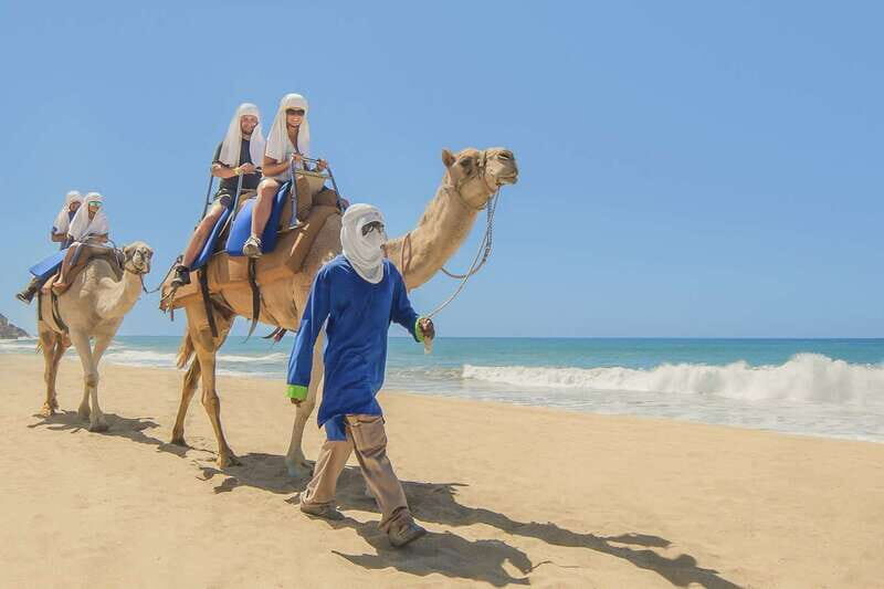 Cabo San Lucas: Camel Safari Tour with Lunch and Tequila - An In-Depth Look at the Tour
