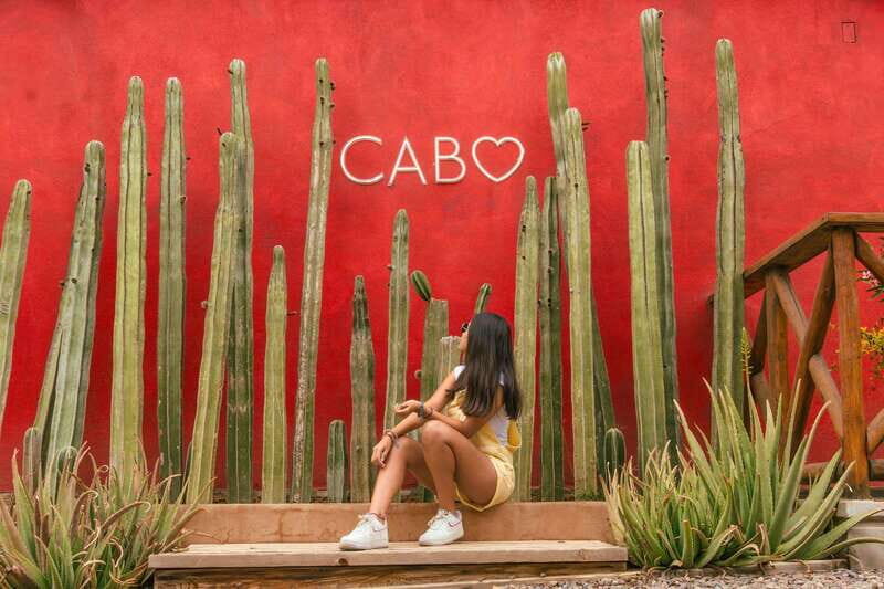 Cabo San Lucas: Camel Safari Tour with Lunch and Tequila - Who Will Love This Tour?