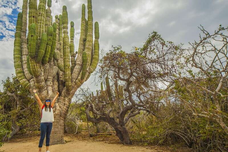 Cabo San Lucas: Camel Safari Tour with Lunch and Tequila - FAQ