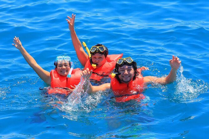 Cabo San Lucas Catamaran: Snorkel, Open Bar & Scenic Cruise - Who Will Love This Tour?