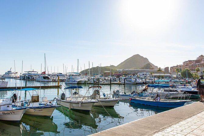 Cabo San Lucas City Tour - Introducing the Cabo San Lucas City Tour: A Balanced Look
