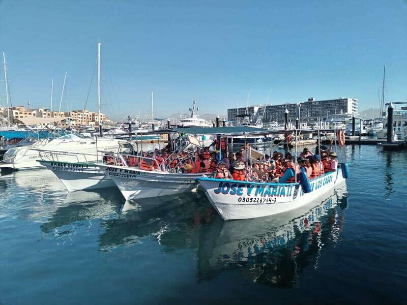 Cabo San Lucas: Classic Tour to the Arch in Glass Bottom - What to Expect and Practical Tips
