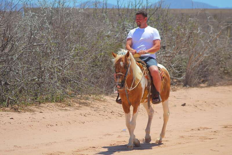 Cabo San Lucas :Combo ATV&Horseback riding with transfer - An In-Depth Look at the Combo ATV & Horseback Riding Tour