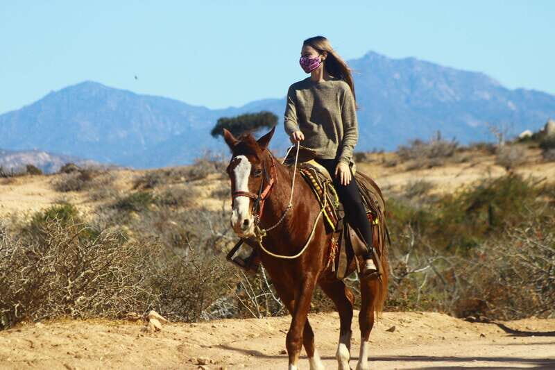 Cabo San Lucas :Combo ATV&Horseback riding with transfer - Final Thoughts: Who Will Love This Tour?
