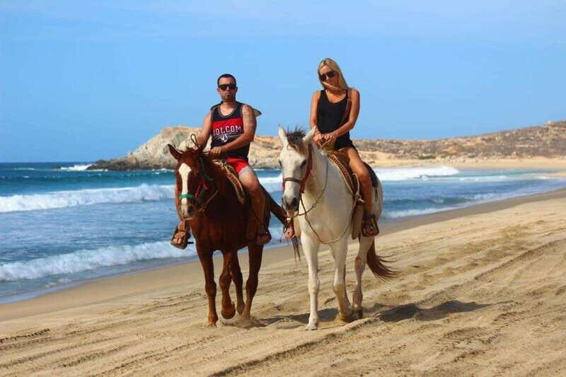 Cabo San Lucas: Desert and Beach RZR and Horseback Riding - Key Points