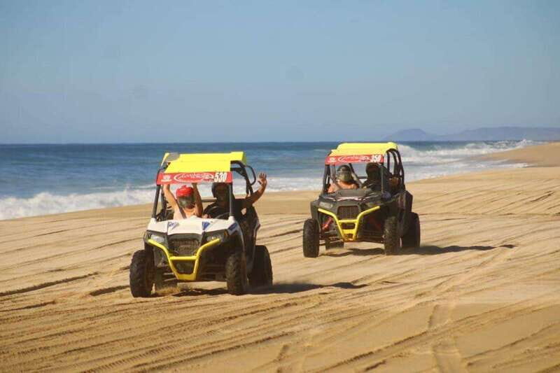 Cabo San Lucas: Desert and Beach RZR and Horseback Riding - An Overview of the Experience