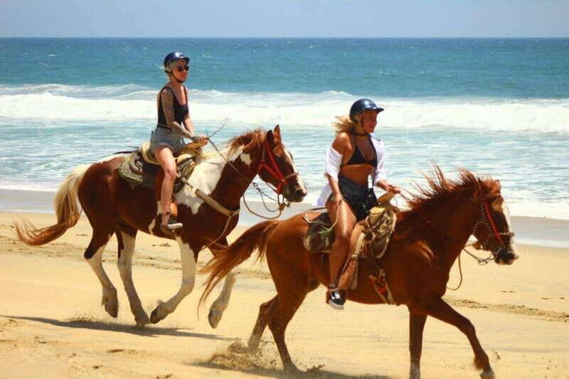 Cabo San Lucas: Desert and Beach RZR and Horseback Riding - The Ride and the Views: A Closer Look