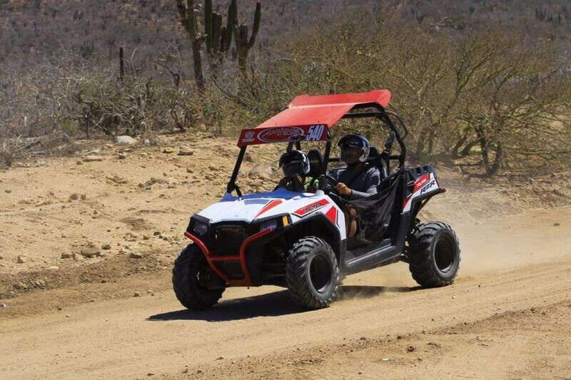 Cabo San Lucas: Desert and Beach RZR and Horseback Riding - Who Should Consider This Tour?