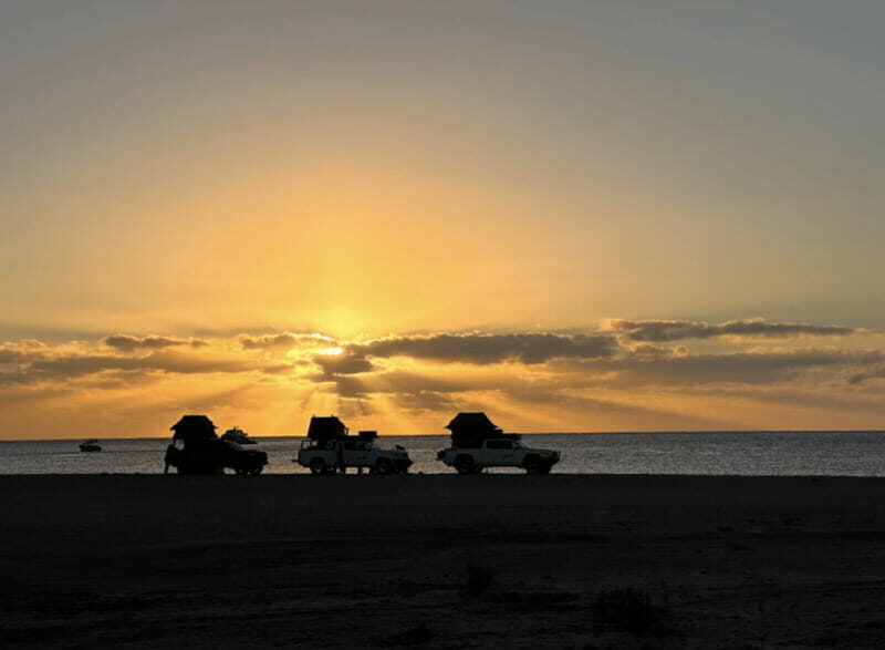 Cabo San Lucas: Discover Baja 4-Day Safari - Key Points
