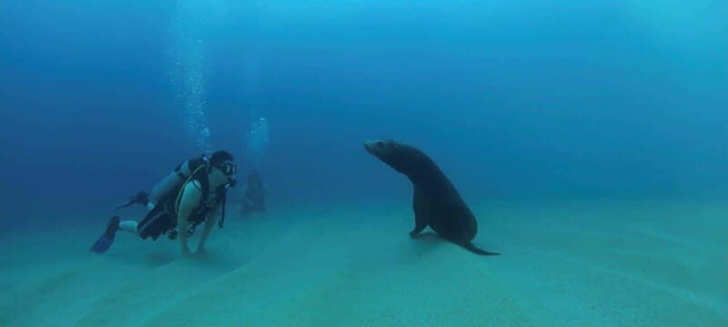 Cabo San Lucas: Discover Scuba Diving Experience - Final Thoughts