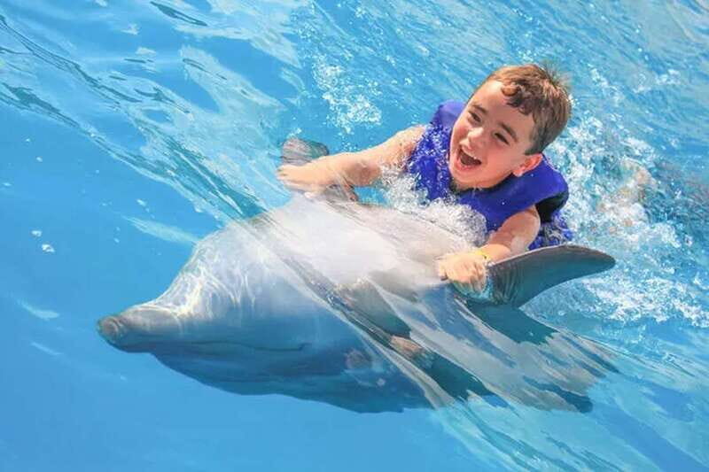 Cabo San Lucas: Dolphin Swim Class with Marine Specialist - What Not to Bring and Important Tips