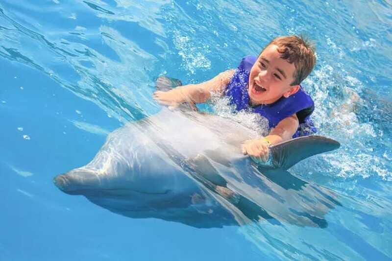 Cabo San Lucas: Dolphin Swim Class with Marine Specialist - Final Thoughts