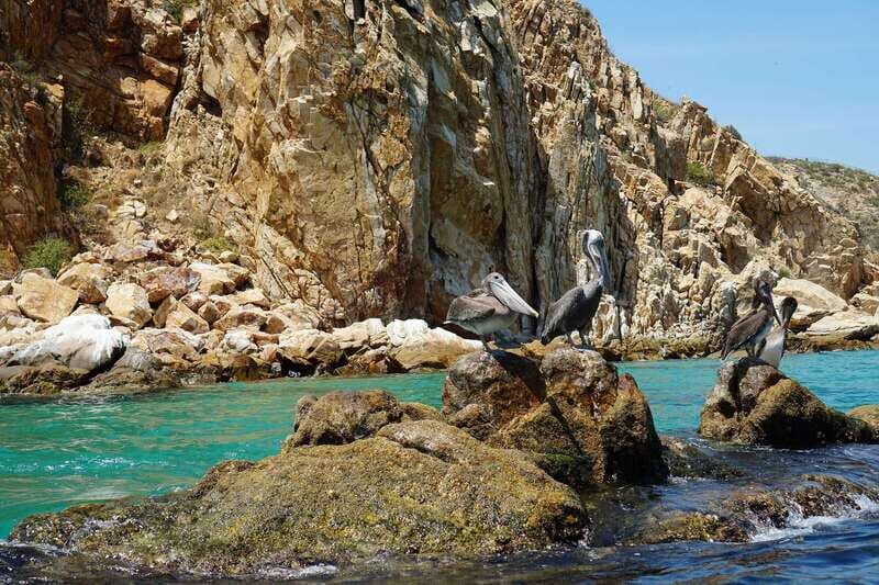 Cabo San Lucas: glass-bottom boat ride to "End of the Earth" - The Sum Up