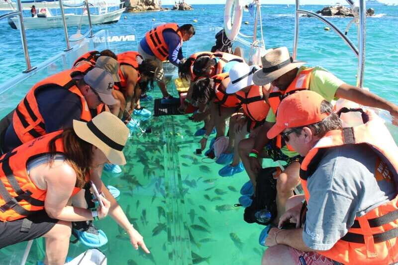 Cabo San Lucas: Glass Bottom Boat Tour to Land's End - Key Points