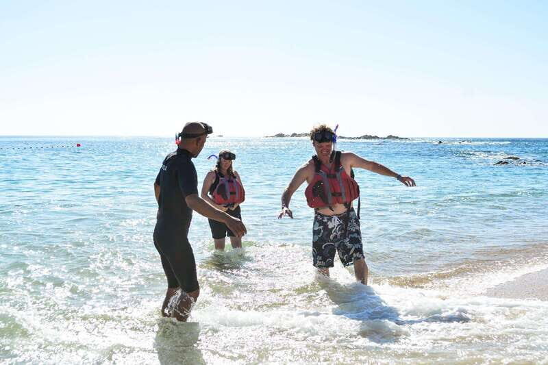 Cabo San Lucas: Guided Snorkeling Tour with Transportation - What Makes This Snorkeling Tour Stand Out