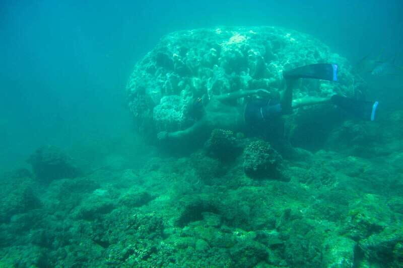 Cabo San Lucas: Guided Snorkeling Tour with Transportation - Final Thoughts