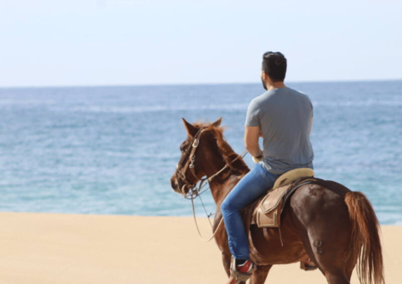 Cabo San Lucas: Horseback Riding Adventure - Authenticity and What Travelers Say