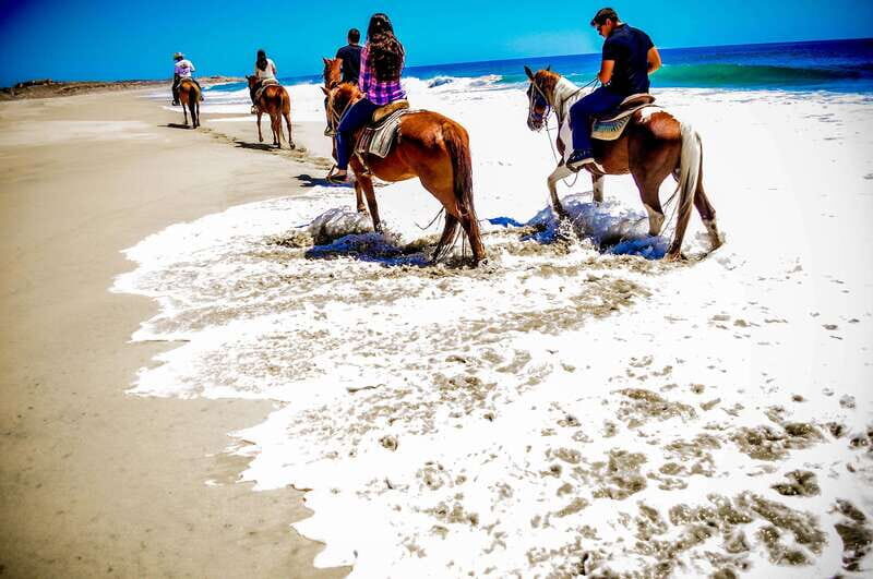 Cabo San Lucas: Horseback Riding in Migriño with Transfers - The Experience: What to Expect From Start to Finish