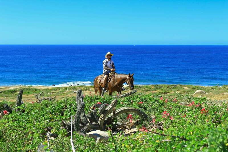 Cabo San Lucas: Horseback Riding in Migriño with Transfers - Who Will Love This Tour?