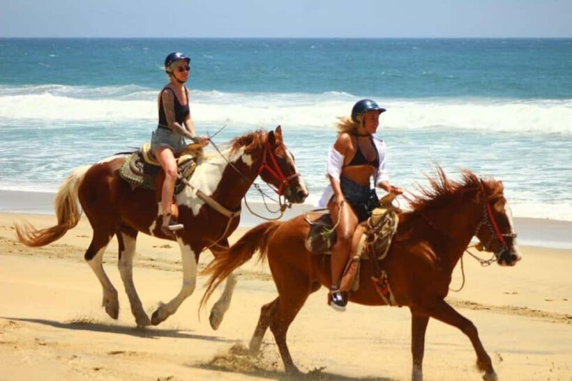 Cabo San Lucas: Horseback Riding on the Beach Experience - Key Points