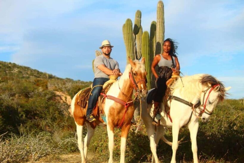Cabo San Lucas: Horseback Riding on the Beach Experience - An In-Depth Look at the Experience