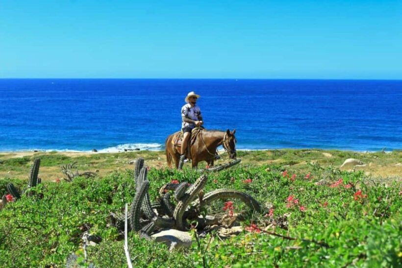 Cabo San Lucas: Horseback Riding on the Beach Experience - FAQ