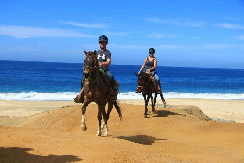 Cabo San Lucas: Horseback Riding On The Beach - Who Should Consider This Tour?