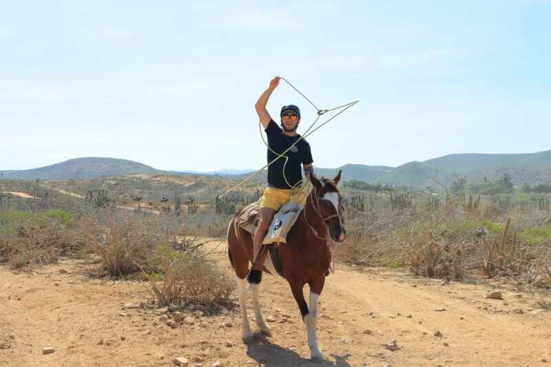 Cabo San Lucas: Horseback Riding On The Beach - The Sum Up