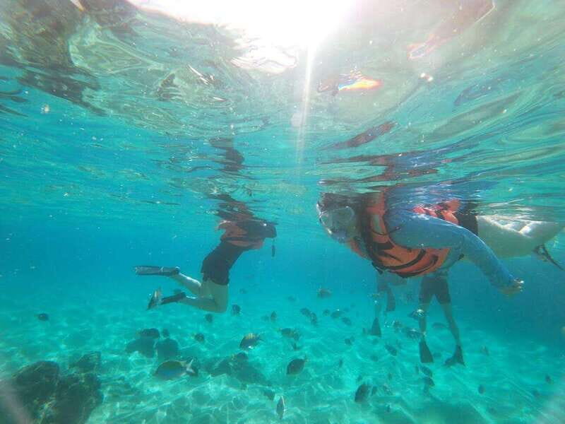 Cabo San Lucas: Kayaking Adventure Tour - What Travelers Love and What to Consider