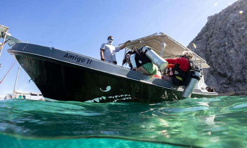 Cabo San Lucas: Local Dives (CSL Marine Park) and Corridor. - Final Thoughts
