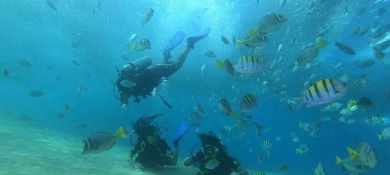 Cabo San Lucas: Marine Reserve Dive - An In-Depth Look at the Marine Reserve Dive Experience