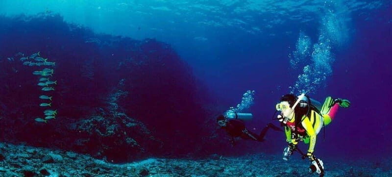 Cabo San Lucas: Marine Reserve Dive - FAQs
