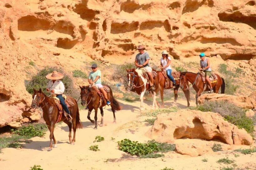 Cabo San Lucas: Migriño Horseback Riding Adventure - The Sum Up: Who Will Enjoy This Tour?
