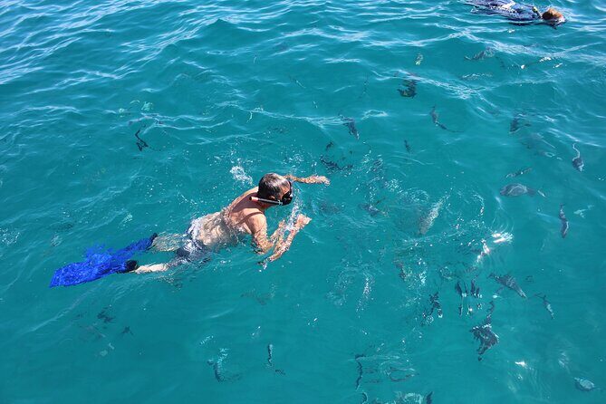 Cabo San Lucas Pirate Snorkel Tour - Who Should Consider This Tour?