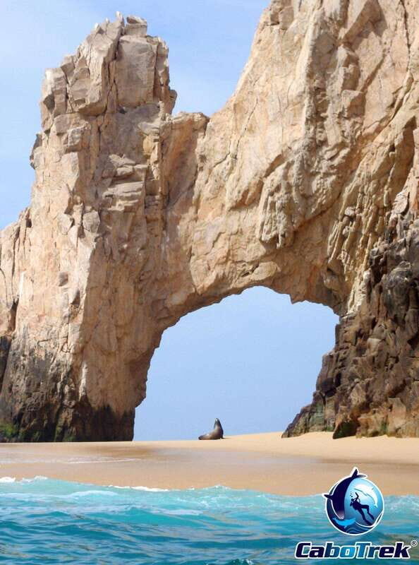 Cabo San Lucas Private and Shared Snorkeling Tour - The Experience for Different Types of Travelers