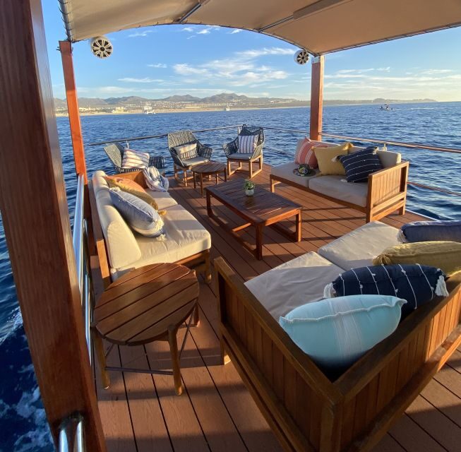 Cabo San Lucas: Private Catamaran Cruise - The Sum Up