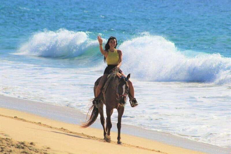Cabo San Lucas: Scenic Horseback Ride Along the Corridor - Key Points