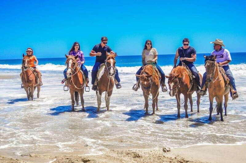 Cabo San Lucas: Scenic Horseback Ride Along the Corridor - An in-depth Look at the Experience