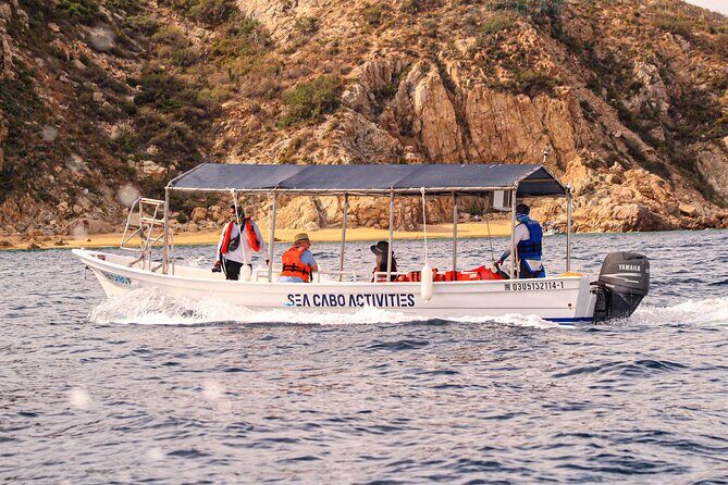 Cabo San Lucas Shared Glass Bottom Boat Experience - Why the Glass Bottom Boat Tour Stands Out
