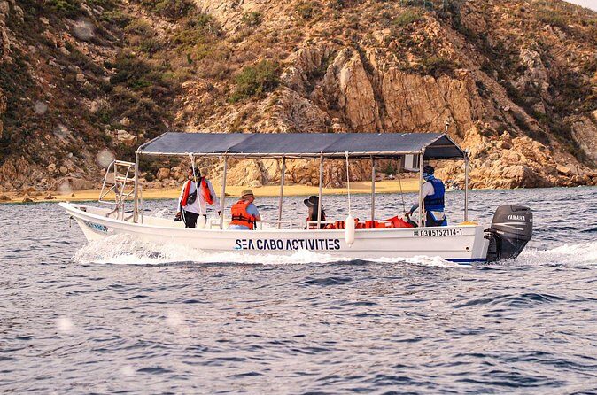 Cabo San Lucas Shared Glass Bottom Boat Experience - How It Compares to Other Cabo Activities