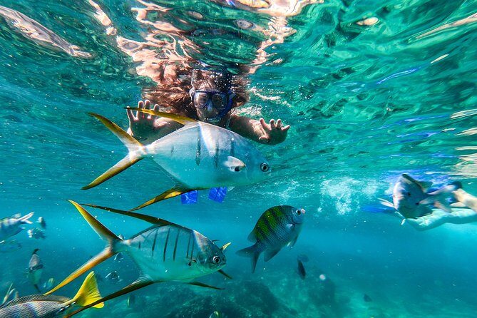Cabo San Lucas Shopping, Tequila Tasting, and Snorkel Tour - A Full Breakdown of the Tour Experience