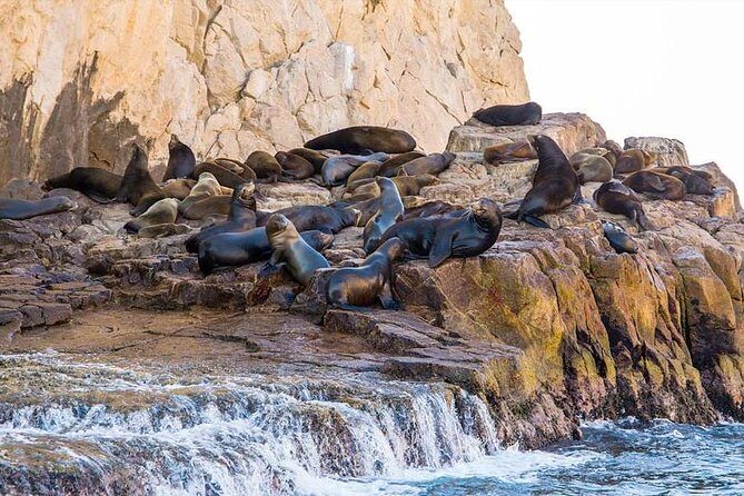 Cabo San Lucas sightseeing and Famous Arch tour - Reviews & Authentic Feedback