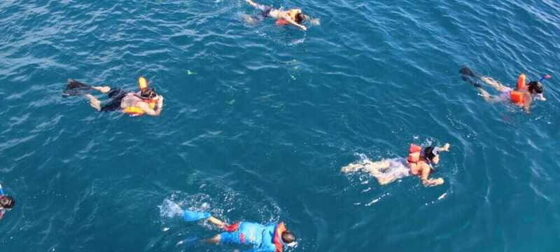 Cabo San Lucas: Snorkel Fun Cruise & Breakfast - Final Thoughts