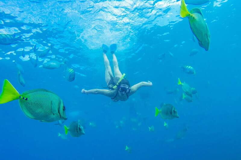 Cabo San Lucas: Snorkel, Paddle-board, and/or Kayak Tour - Key Points