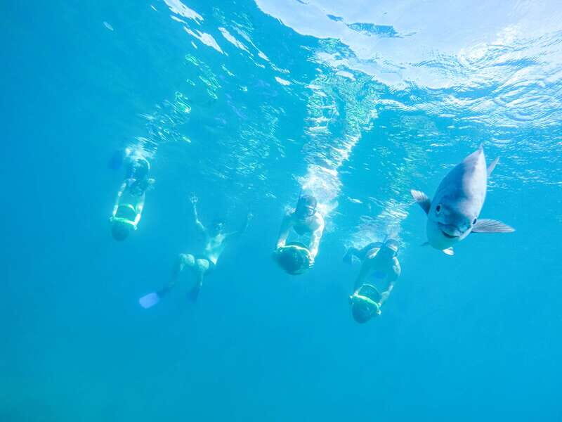 Cabo San Lucas: Snorkel, Paddle-board, and/or Kayak Tour - Who Should Consider This Tour?